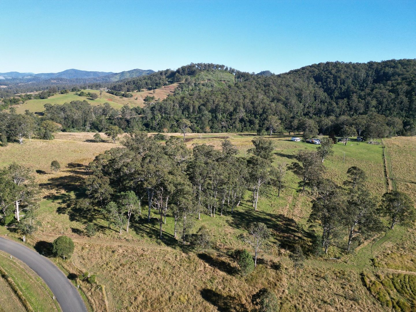 376 Toms Creek Road, Ellenborough NSW 2446 - House for Sale | Domain