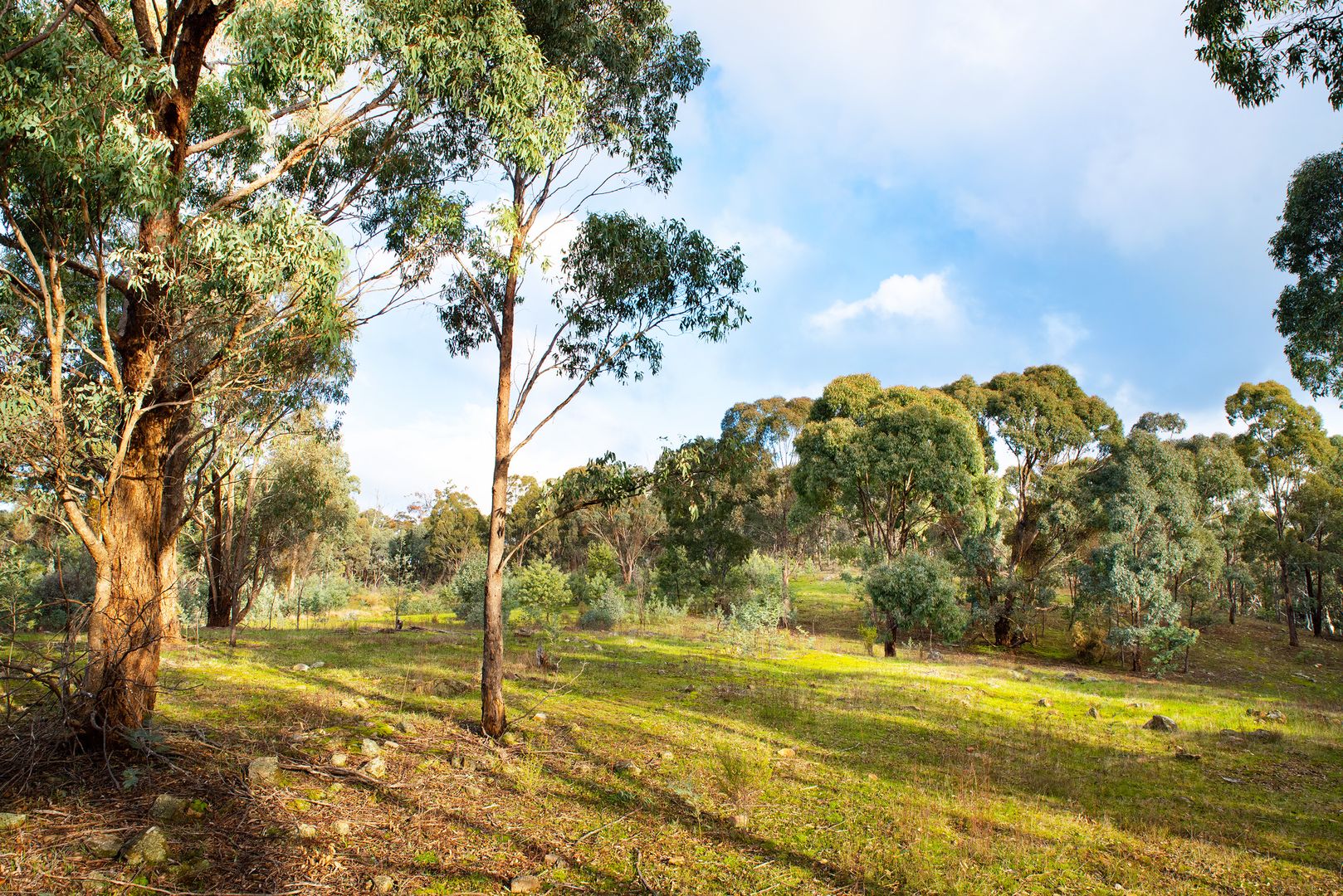 3/403 Yandoit-Werona Road, Franklinford VIC 3461 - House for Sale