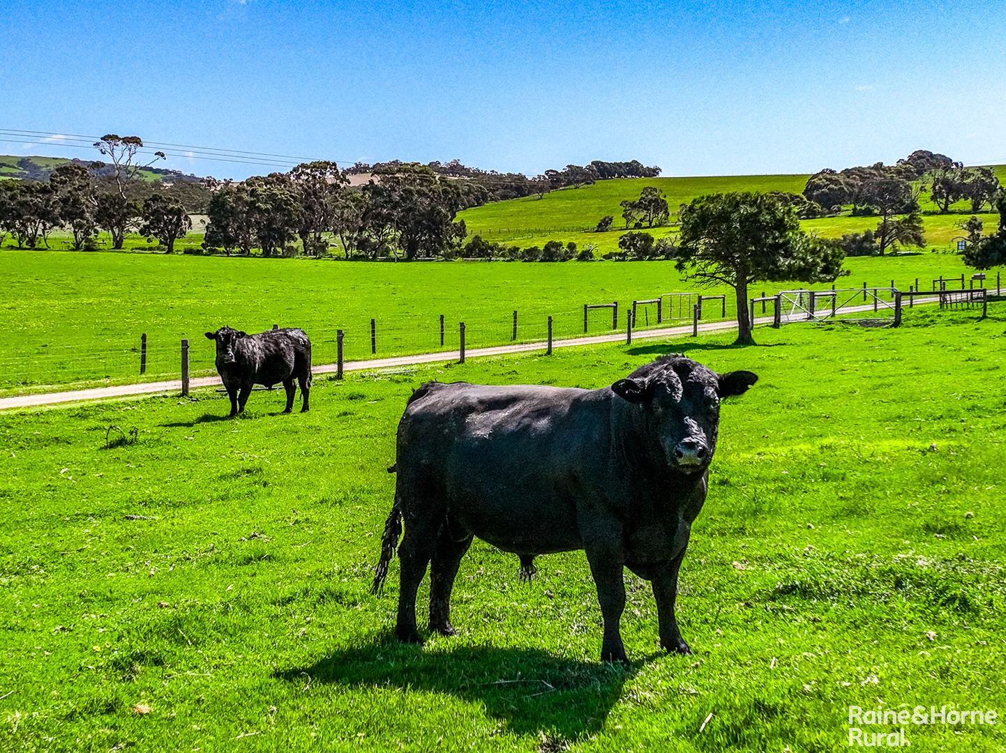 618 Deep Creek Road, Tooperang SA 5255 - Farm for Sale | Domain