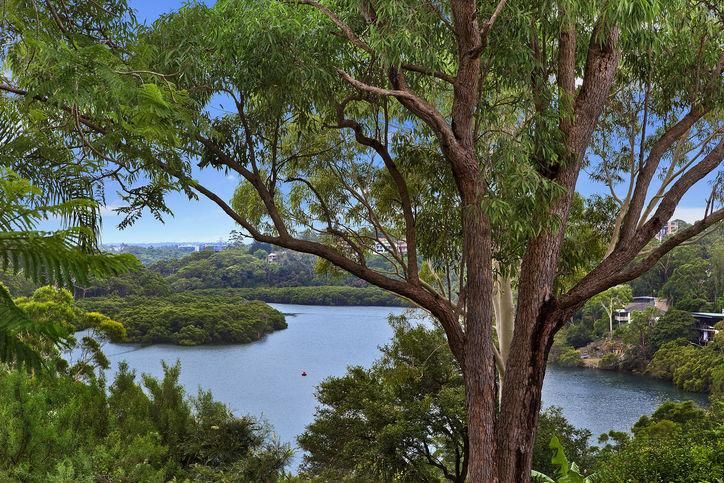 5 The Crescent , Linley Point | Property History & Address Research ...