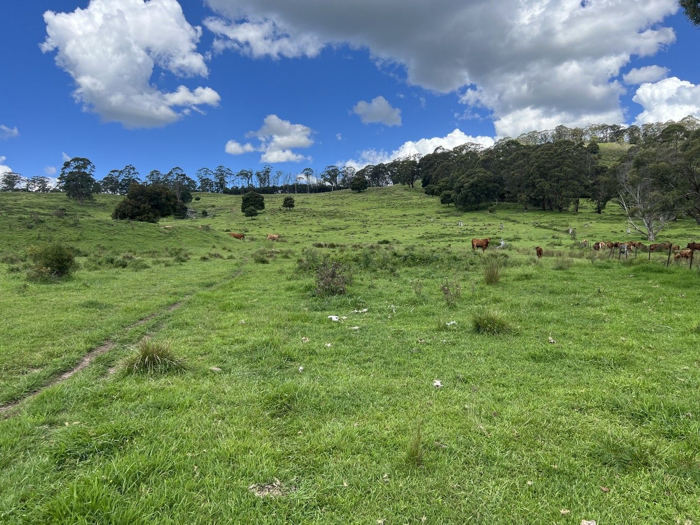 'Mt Clear'/* Yahna Road, Dundee NSW 2370 - House for Sale - $3,000,000