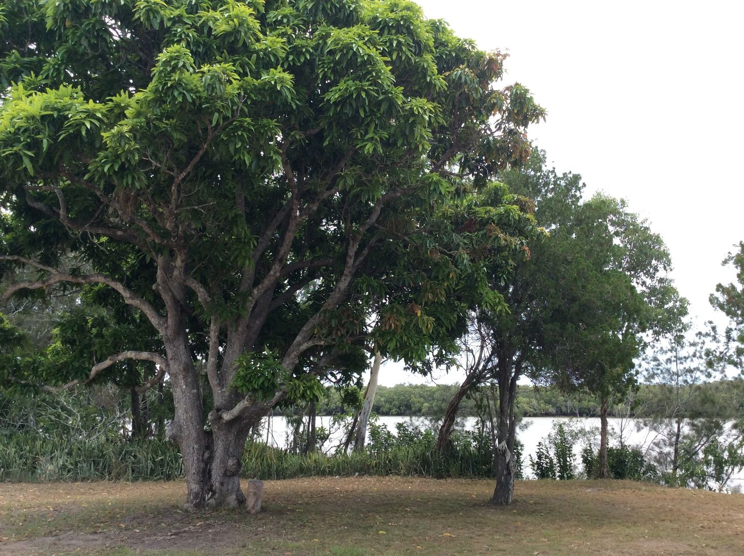 Lot 1 Beaver Rock Road, Walkers Point | Property History & Address ...