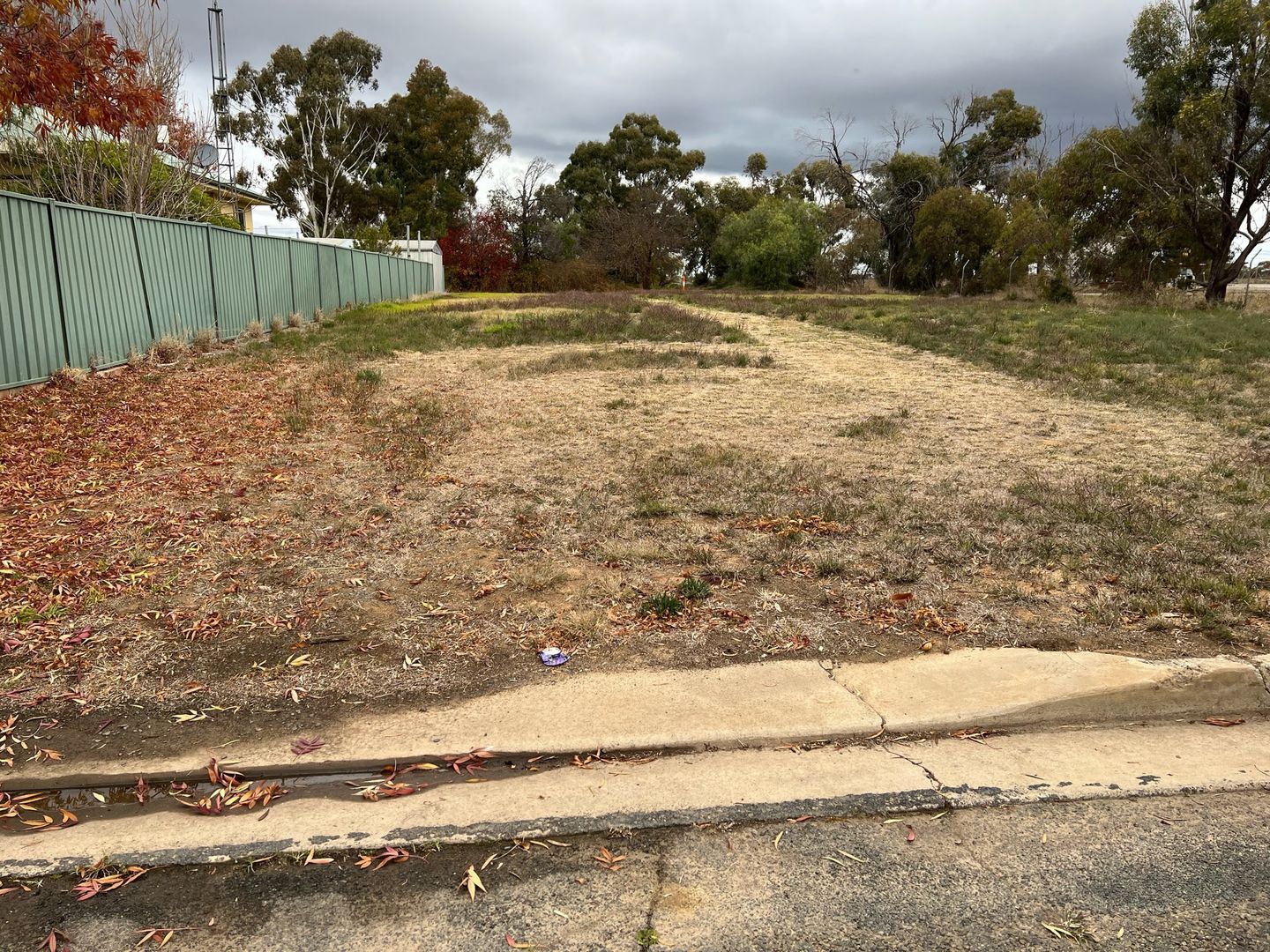 110 Coreen Street, Jerilderie NSW 2716 | Domain