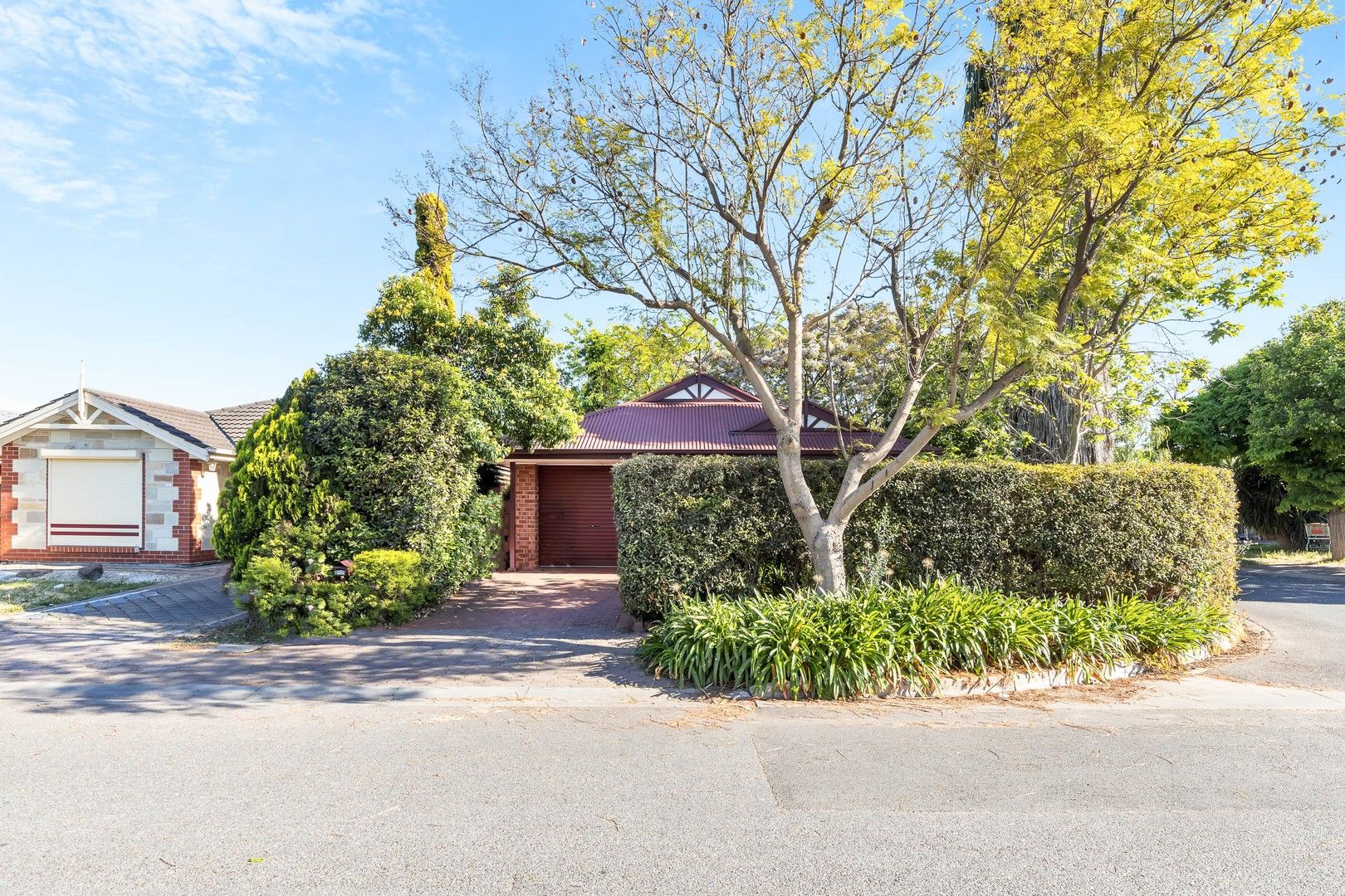 5 Morphett Street, Windsor Gardens SA 5087 - House For Rent | Domain