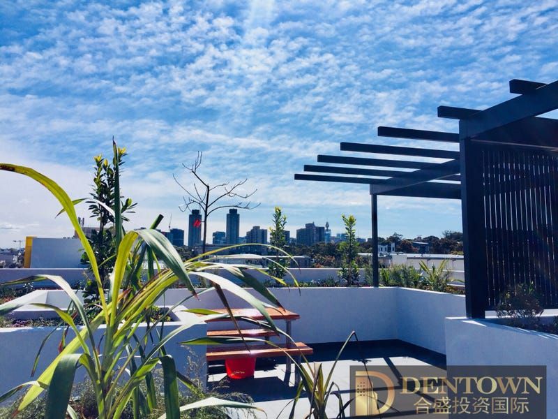 104/233 Botany Road, Waterloo NSW 2017 - Apartment For Rent | Domain