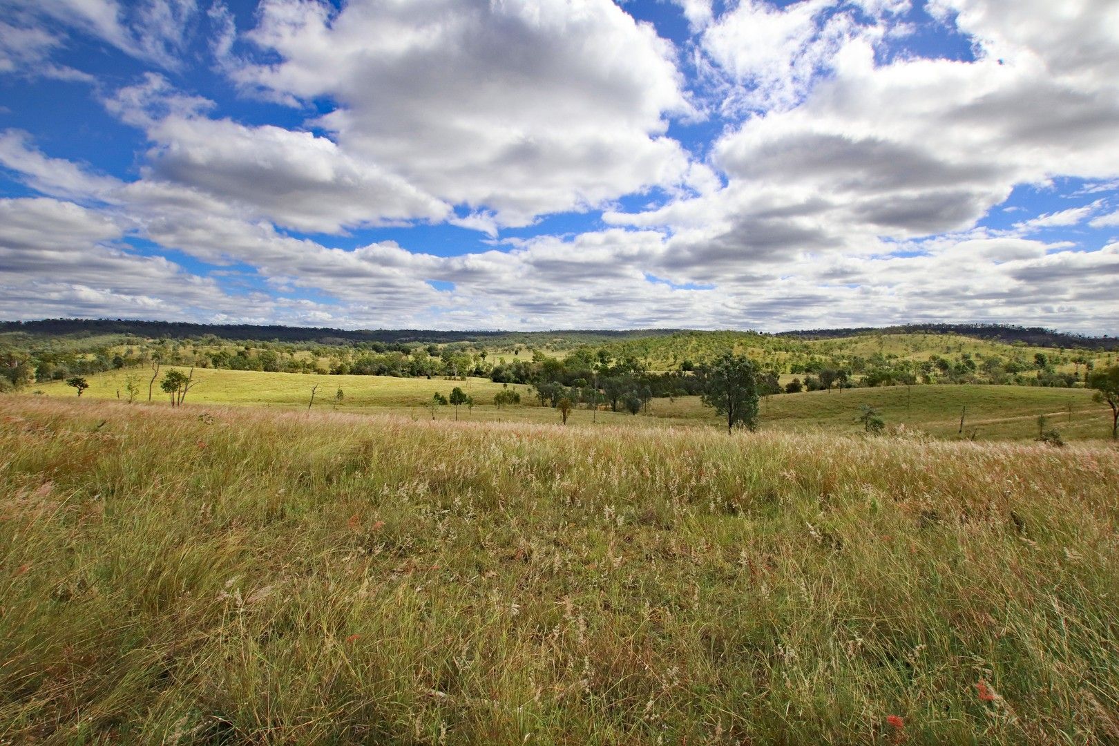 "Derabungy" 3310 Beeron Road, Beeron QLD 4626 - Farm for Sale - $8,000,000