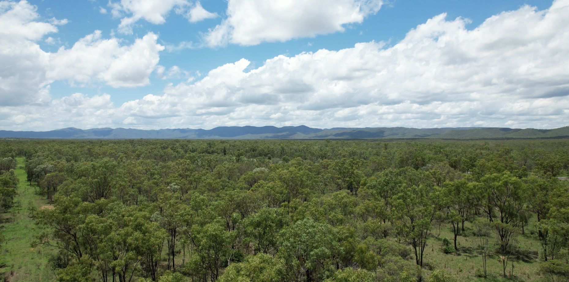 Peninsula Developmental Road, Lakeland QLD 4871 - House for Sale