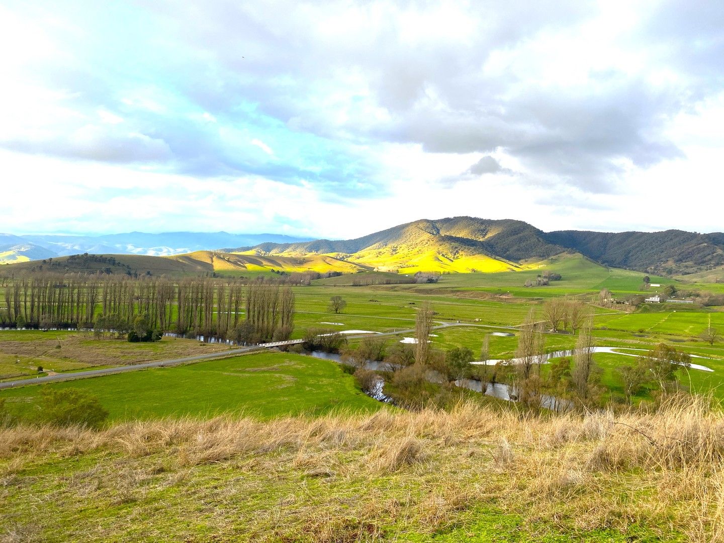 884 Upper Murray Road, Towong Upper VIC 3707 - Vacant Land for Sale