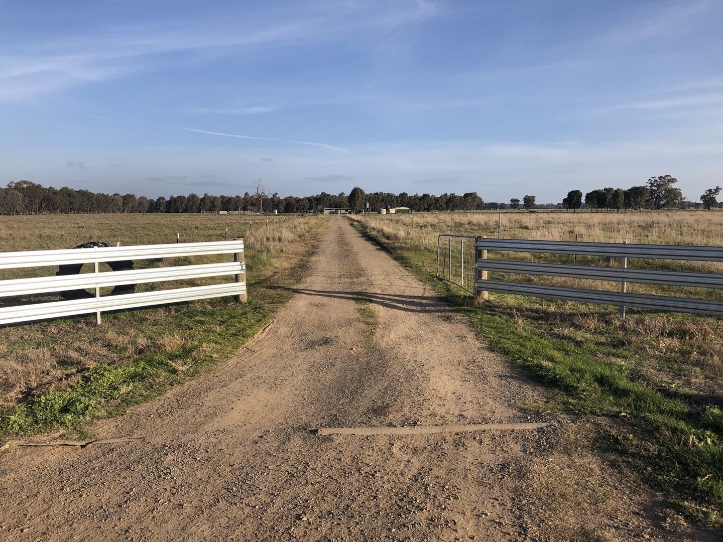 'Smokey Plains'/40 Drew Lane, Howlong NSW 2643 - House for Sale