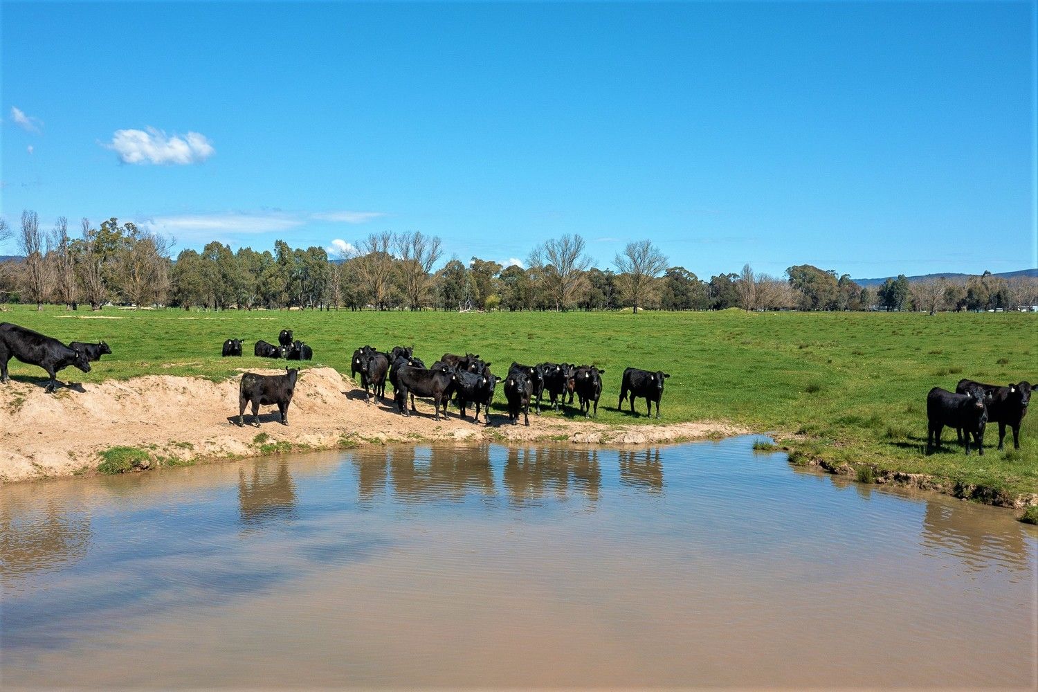 Part/654 Baddaginnie-Warrenbayne Road, Warrenbayne VIC 3670 - House for ...