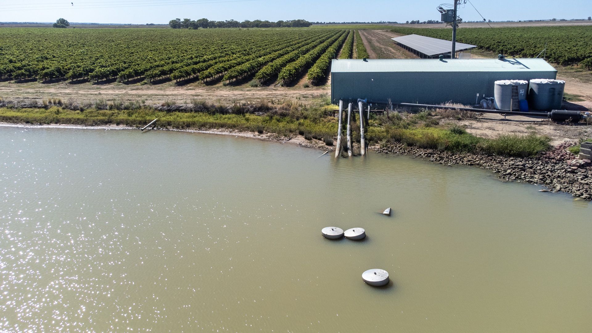 9972 Kidman Way, Willbriggie NSW 2680 - Specialist Farm for Sale