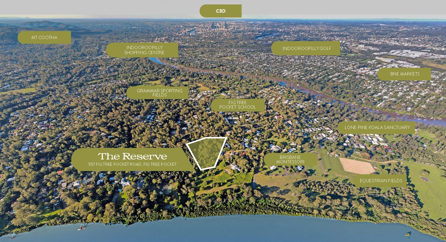 557 Fig Tree Pocket Road, Fig Tree Pocket QLD 4069 | Domain