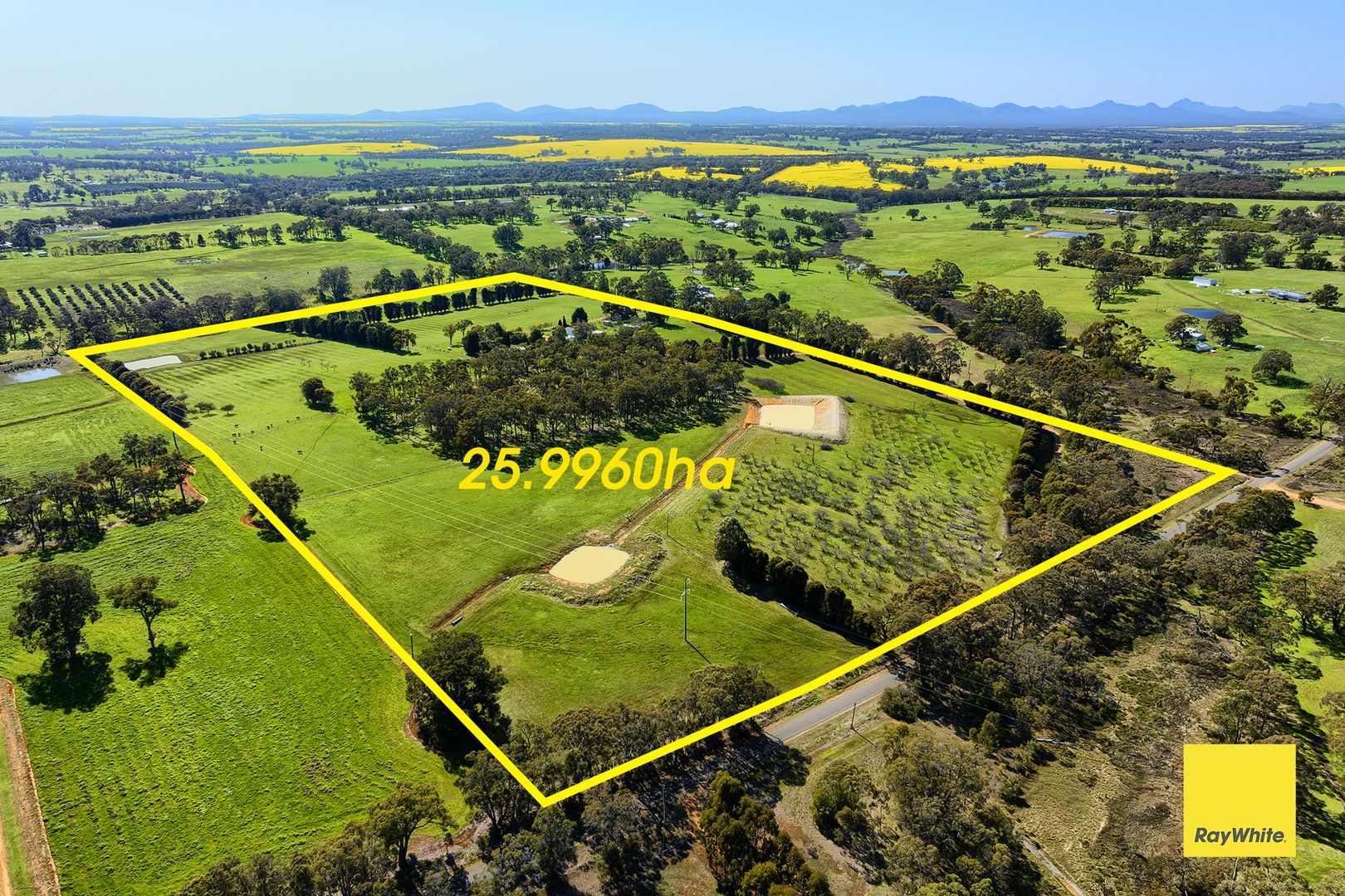 168 Sturdee Road, Mount Barker WA 6324 | Domain