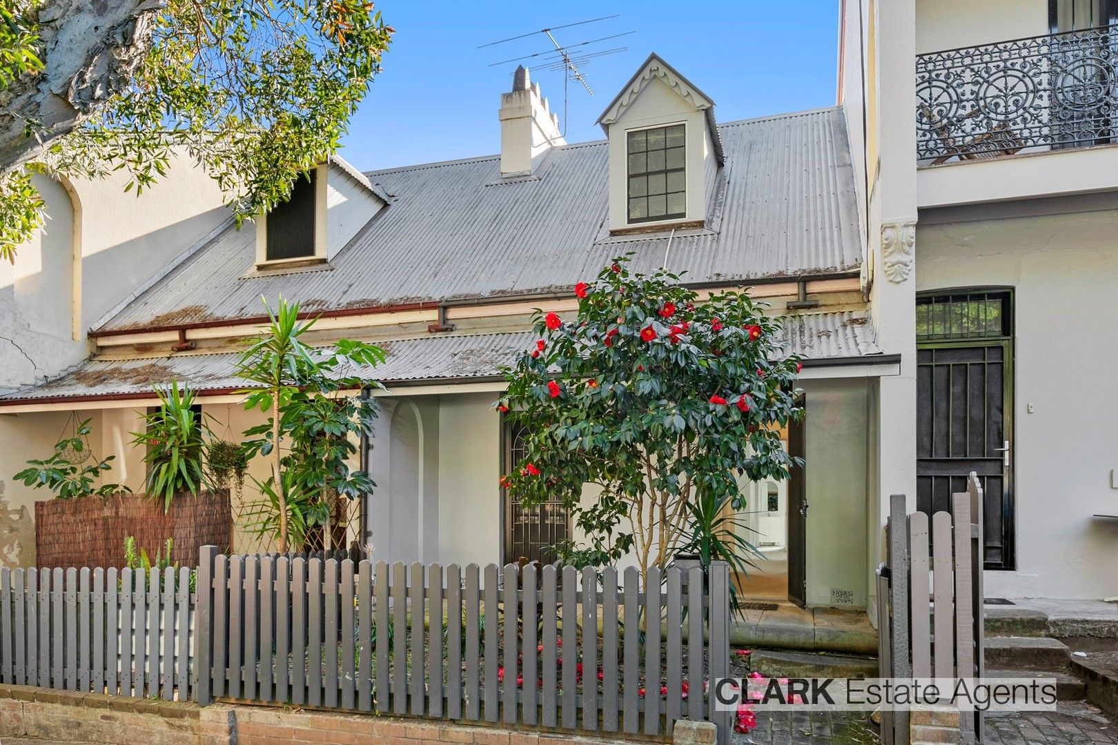 57 Wellington Street, Waterloo NSW 2017 - House For Rent | Domain