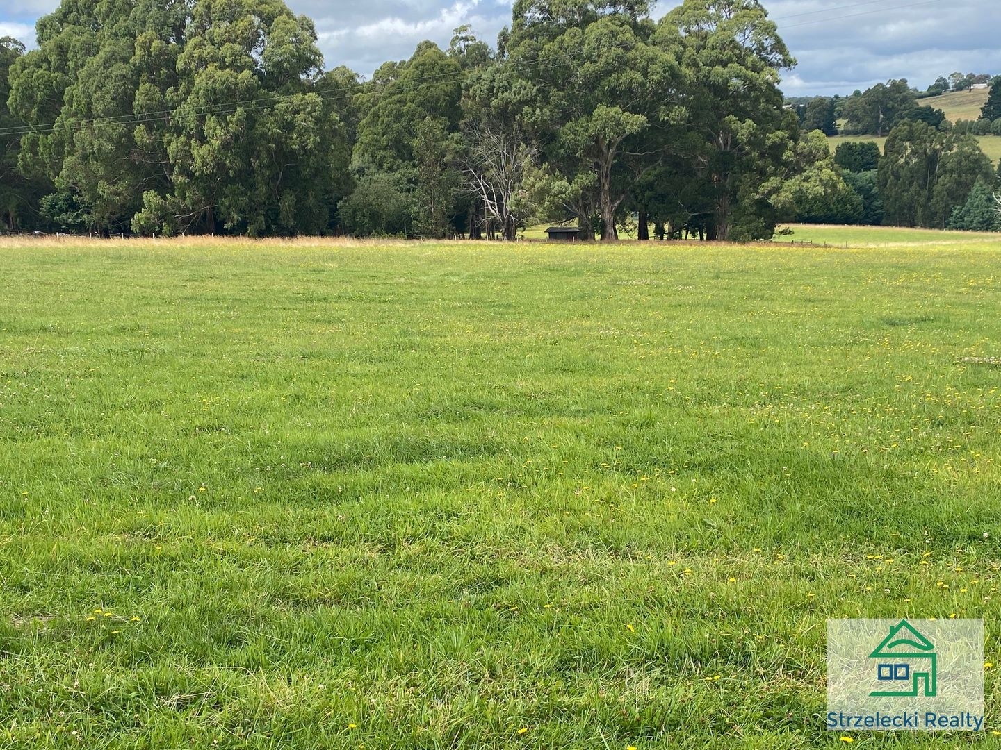 72 Thomson Valley Road, Erica VIC 3825 - Farmlet for Sale - $495,000