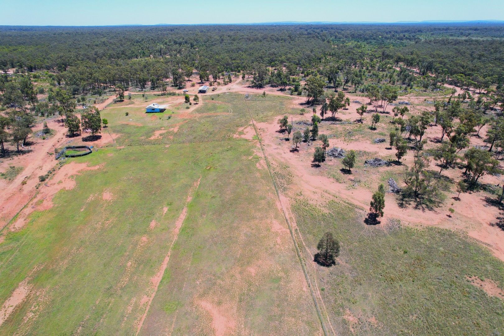 1017 Wilga Ridge Road, Fifield NSW 2875 - House for Sale | Domain