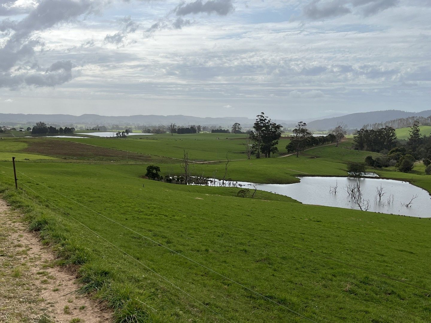 199 Pinega Rd, Ringarooma TAS 7263 - House For Rent - $400 | Domain