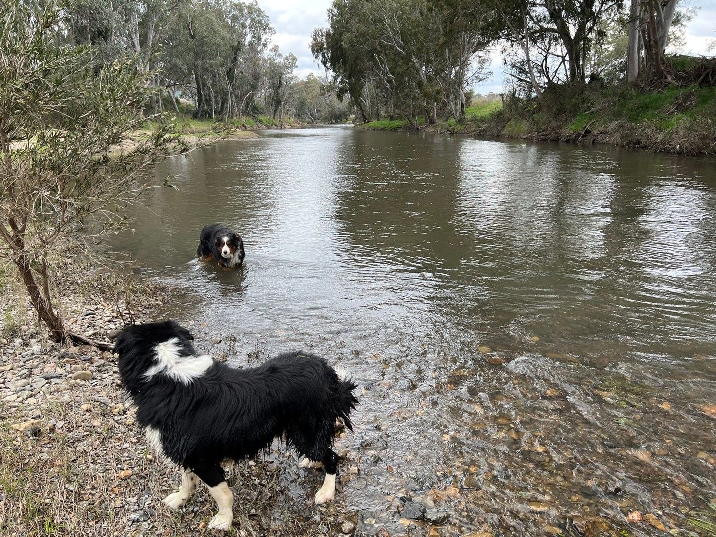 225 Mingoola Station Road, Tenterfield NSW 2372 - House for Sale