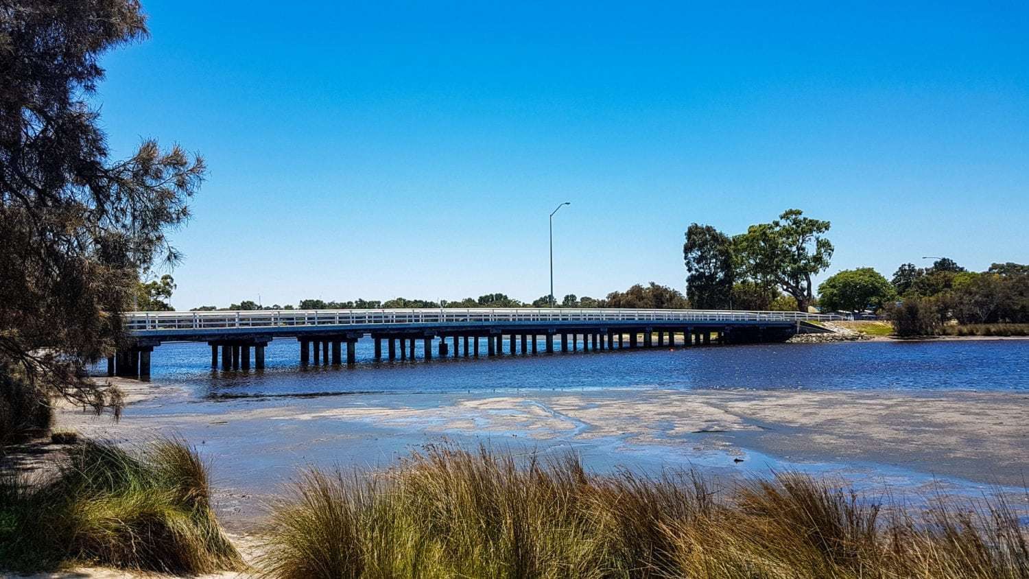 LOT1-4/41 Riley Road, Riverton WA 6148 | Domain