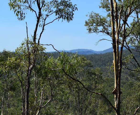 48 Bk Road, Borallon | Property Value Estimate & History | Domain