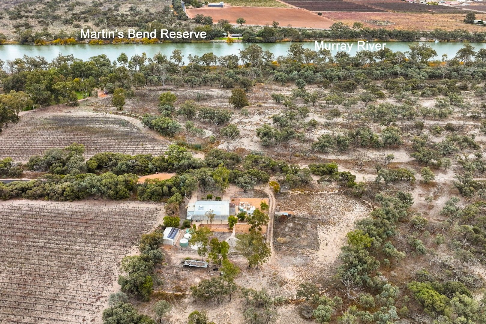 162 Martins Road, Berri SA 5343 | Domain