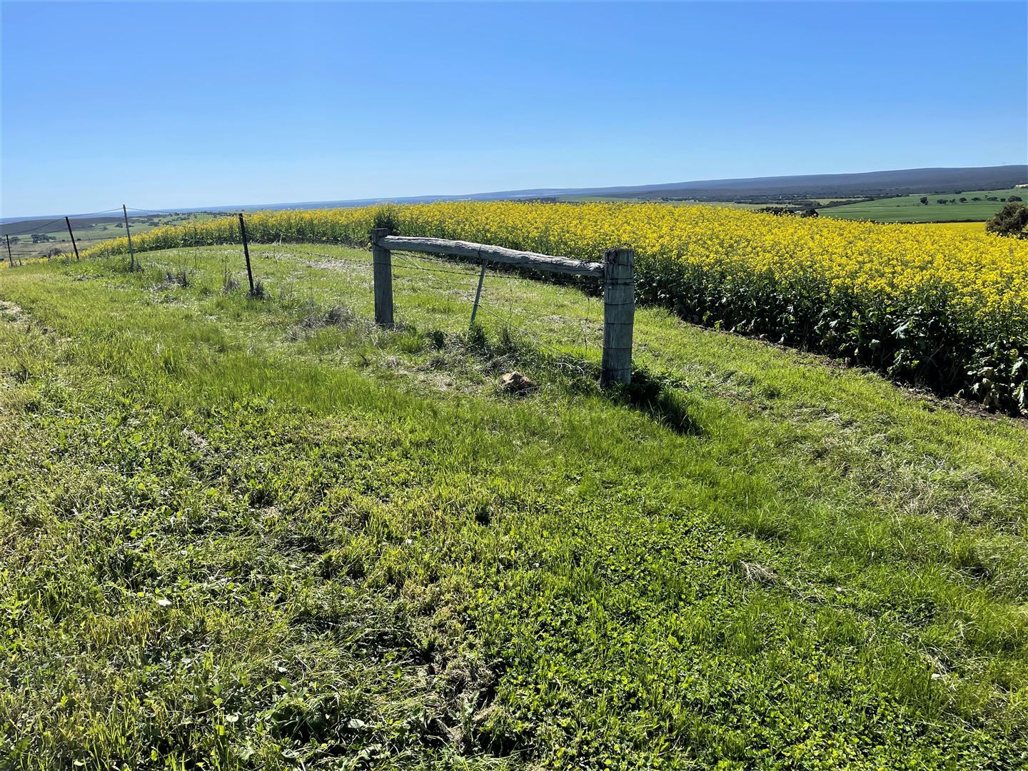 162 Woolamulla Road (Taringa West), Warradarge WA 6518 - Farm for Sale