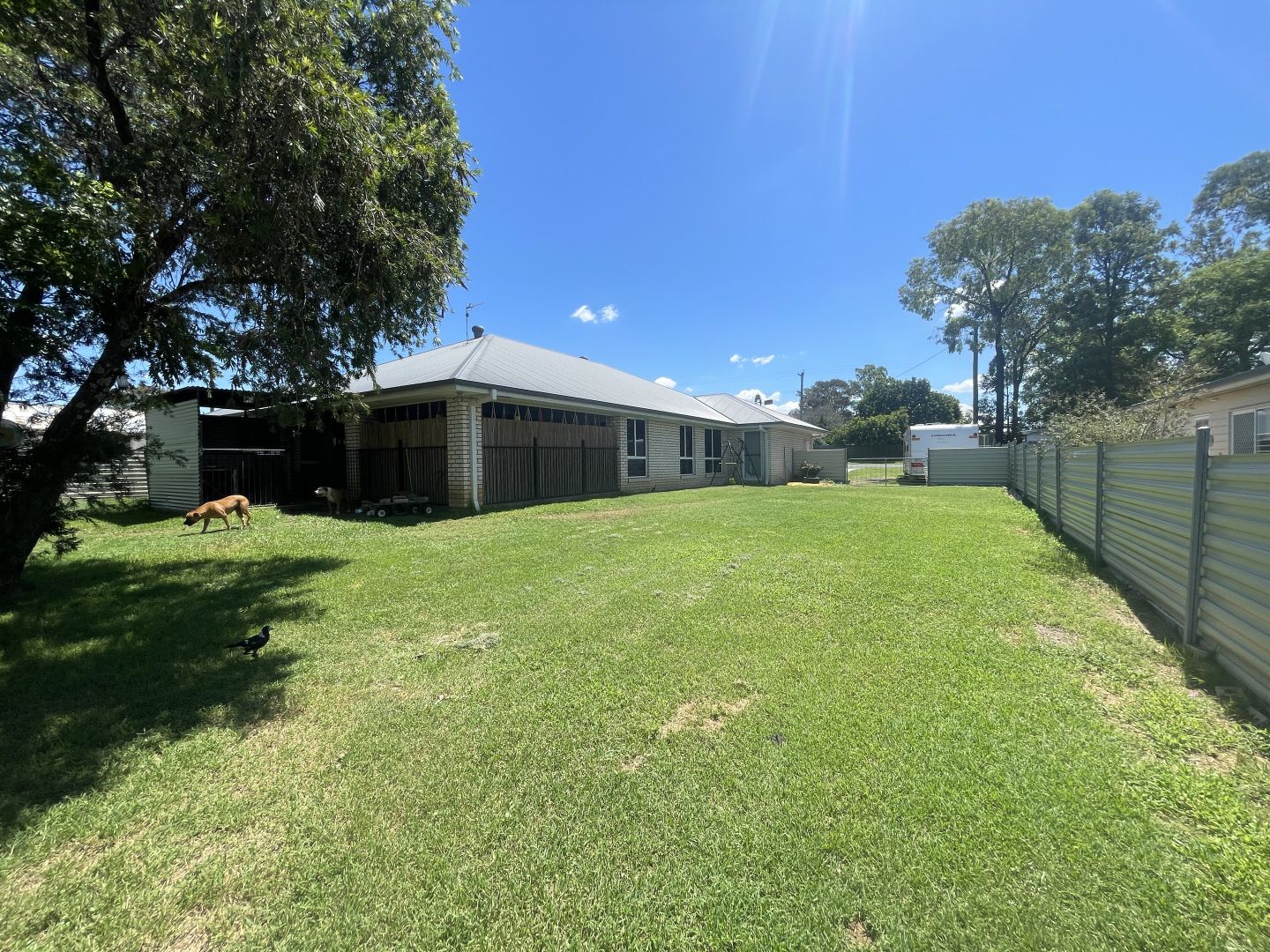 6A Steele Street, Pittsworth QLD 4356 | Domain