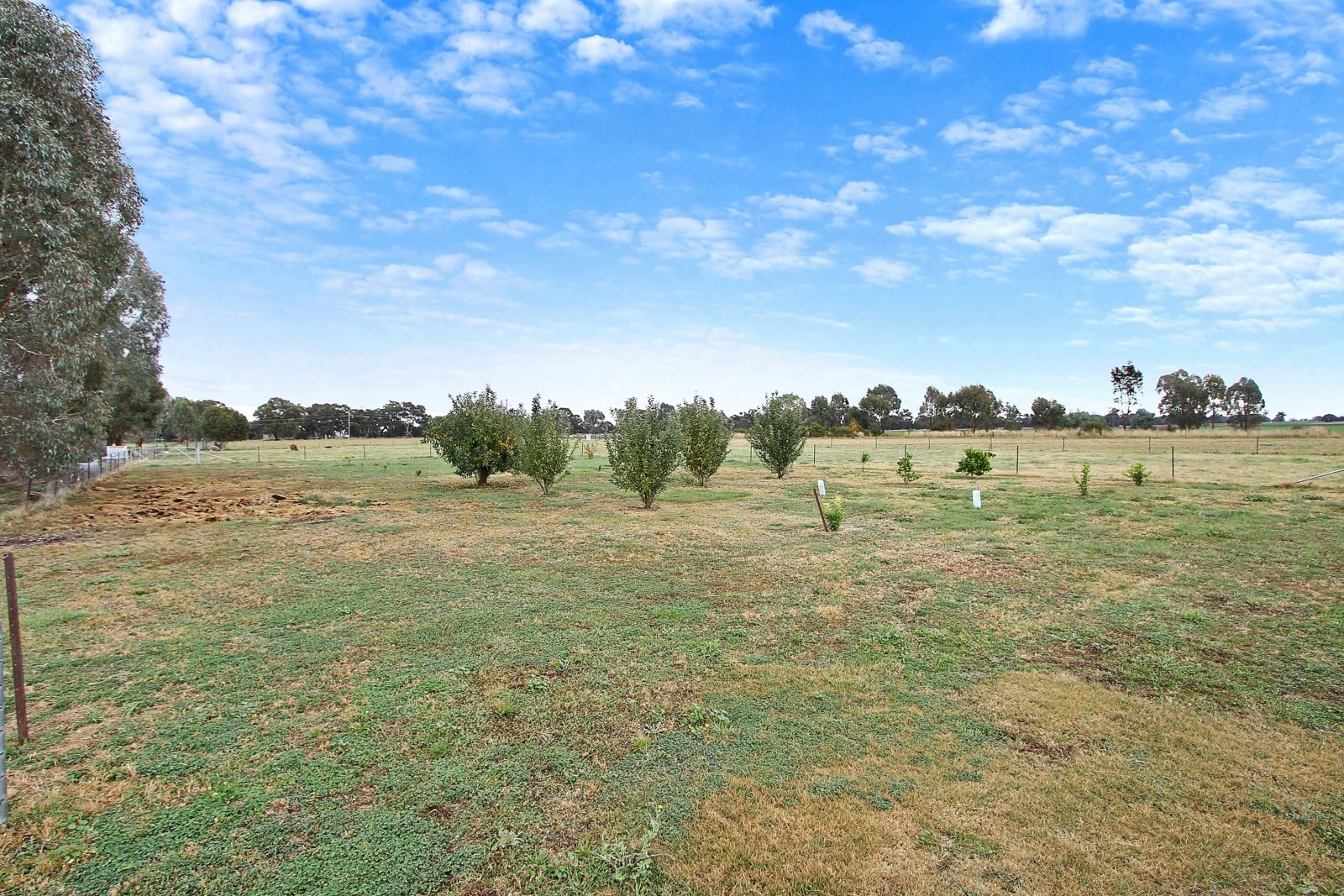 3168 Olympic Highway, Culcairn NSW 2660 | Domain
