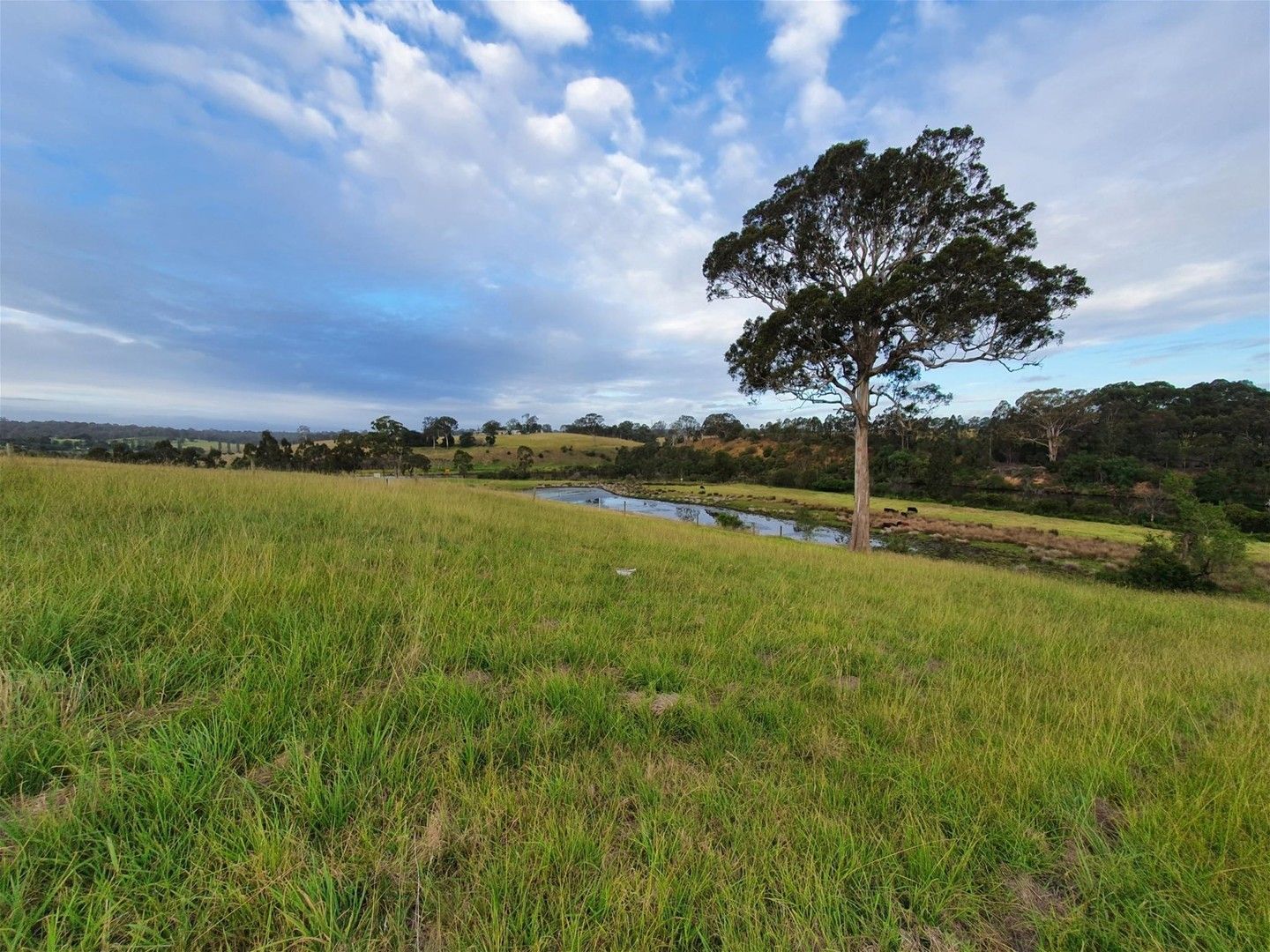 8 Parkside Drive, Nicholson VIC 3882 | Domain