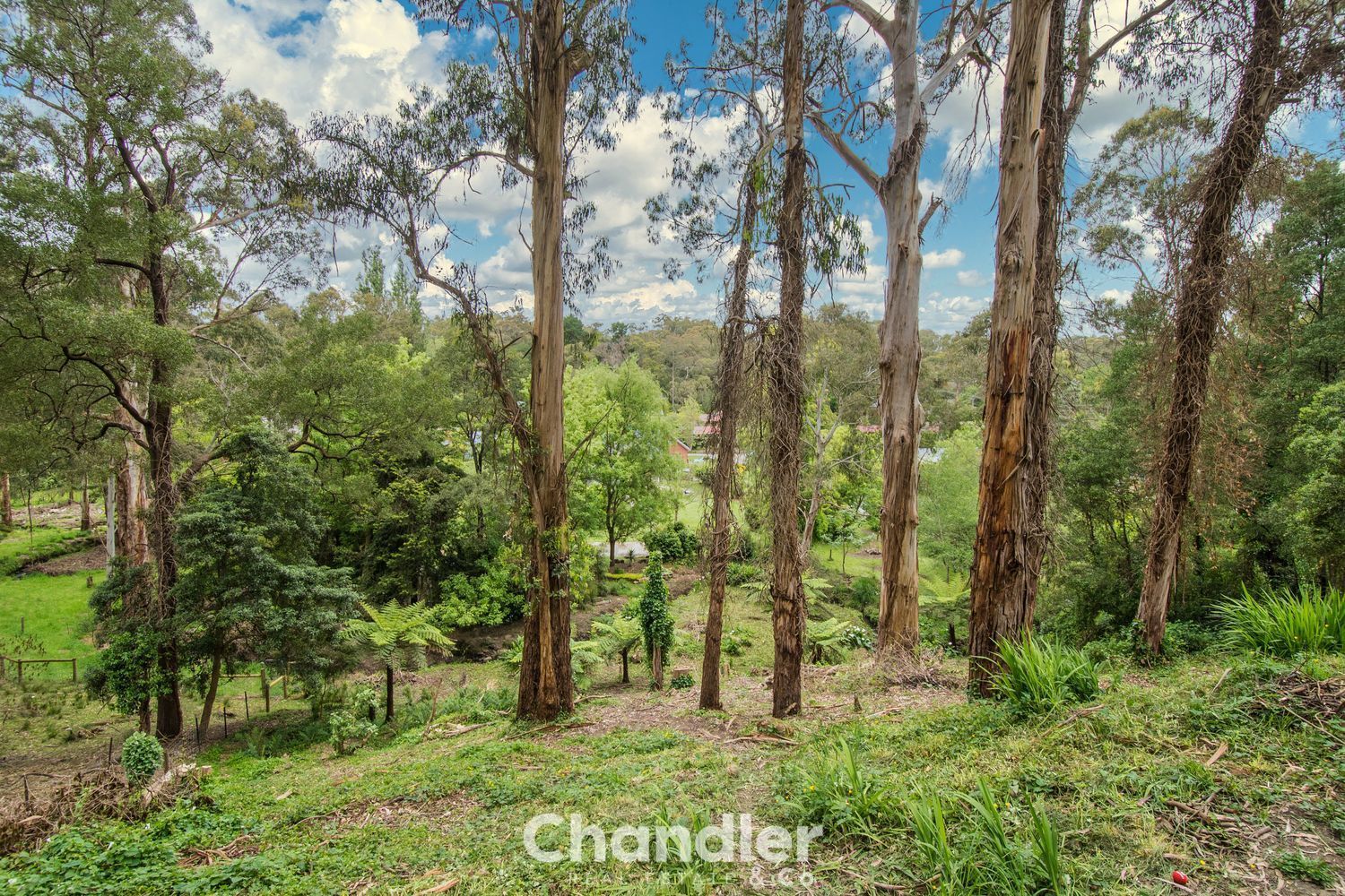34 Thompson Road, Upwey VIC 3158 | Domain