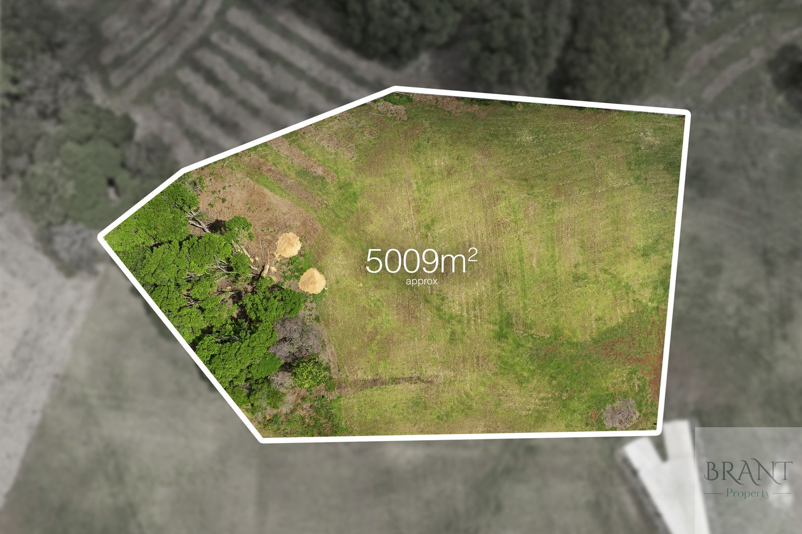 204 Tallowwood Street, Maleny QLD 4552 | Domain