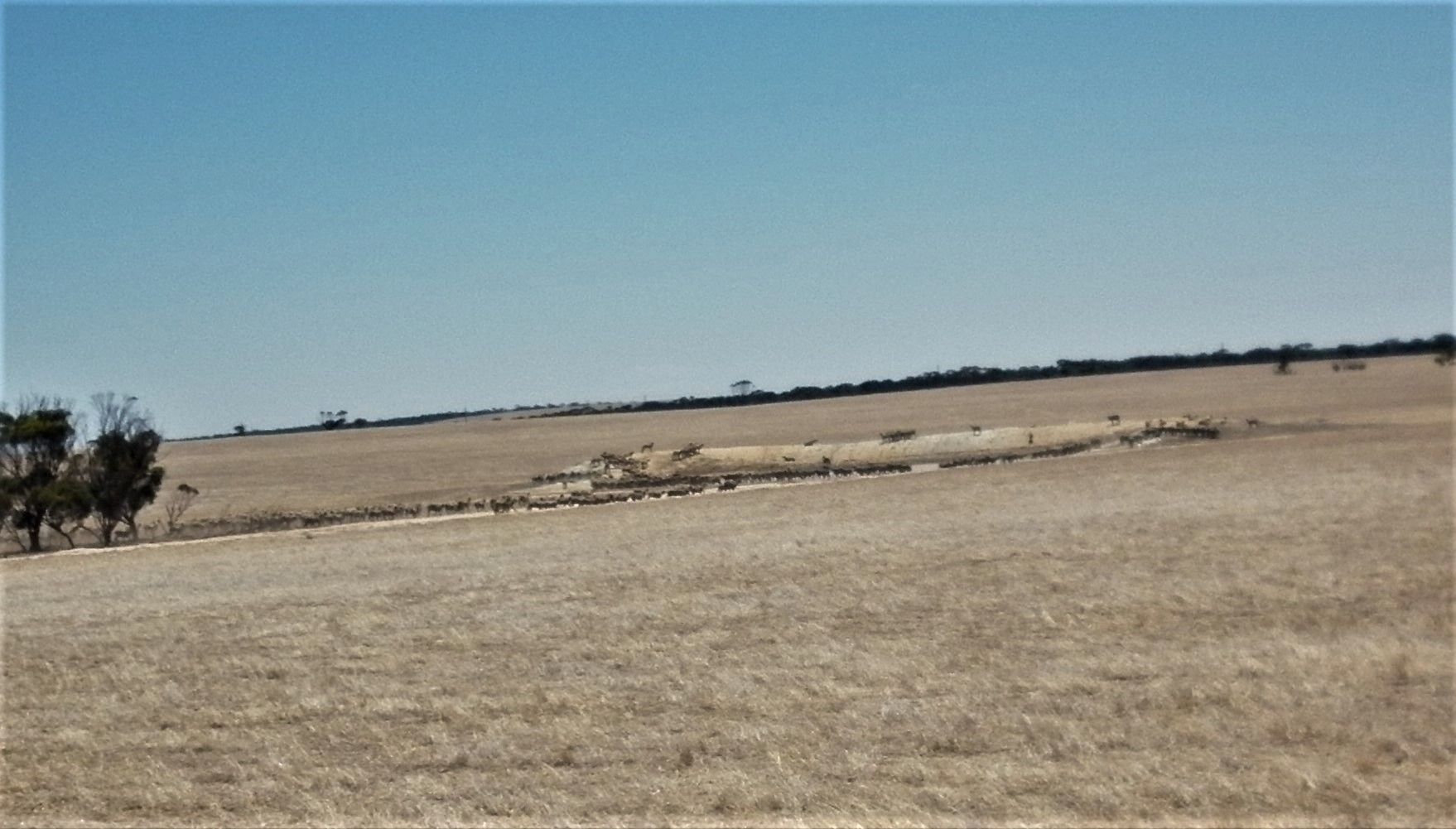 East Road, Pingrup WA 6343 - House for Sale | Domain