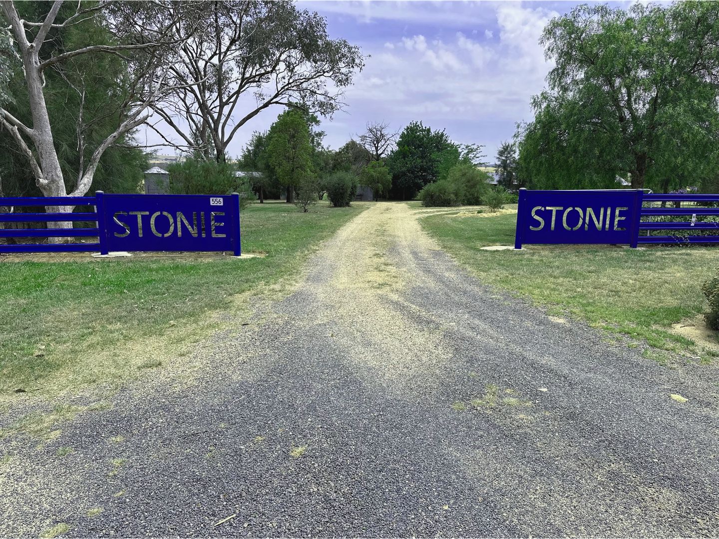 524-556 Wirrimah Road, Wirrimah Via, Young NSW 2594 - Farm for Sale ...