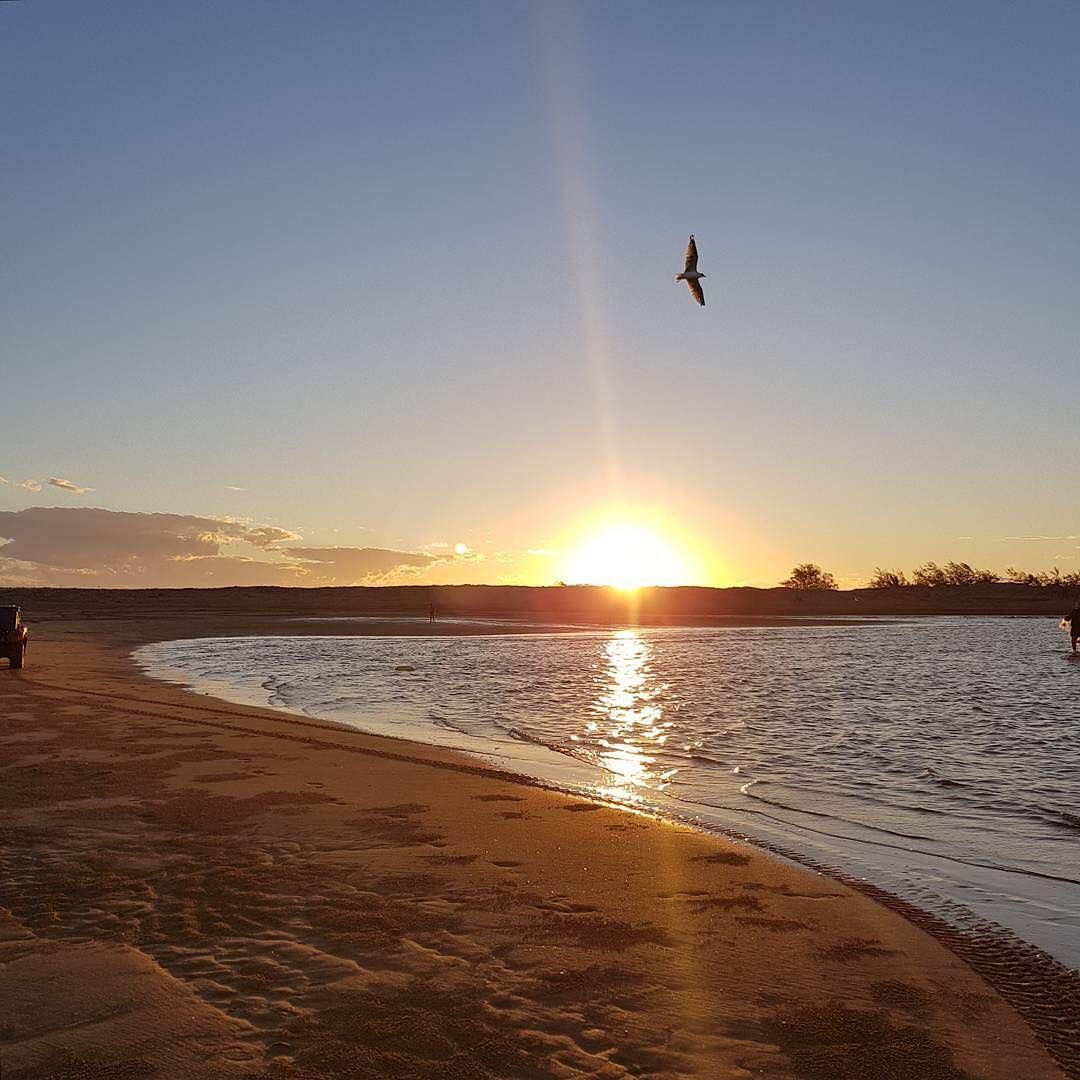 45 Narrah Street, Alva | Property History & Address Research | Domain