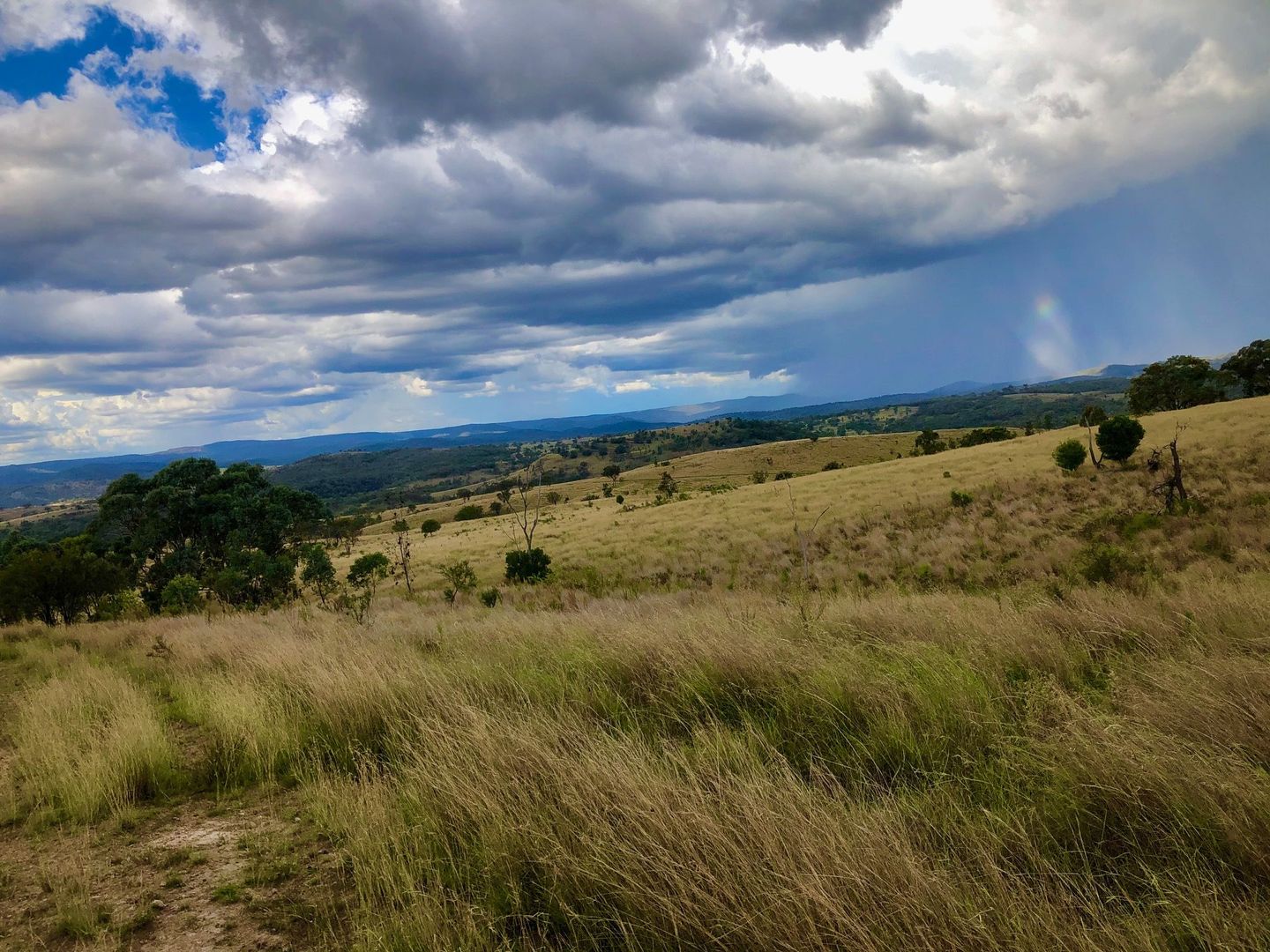 Yellow Dam NSW 2371 - House for Sale - $4,000,000 | Domain