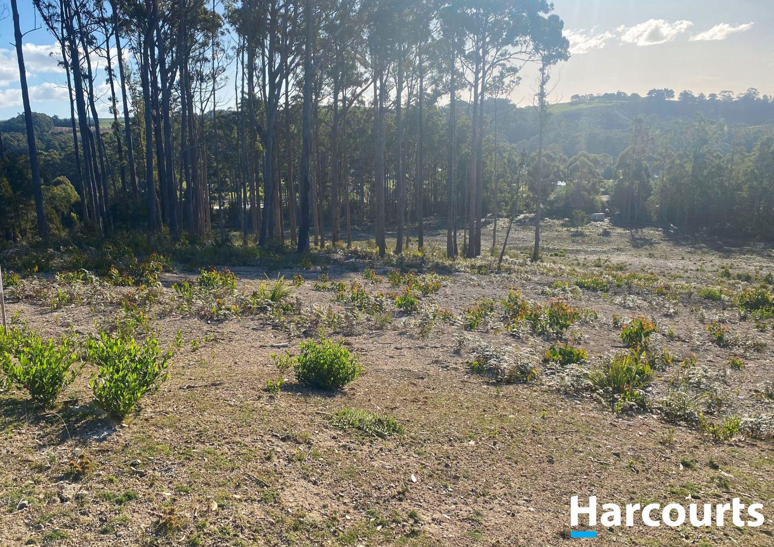 Lots 1-4 Forest Heights Drive, Tugrah TAS 7310 | Domain