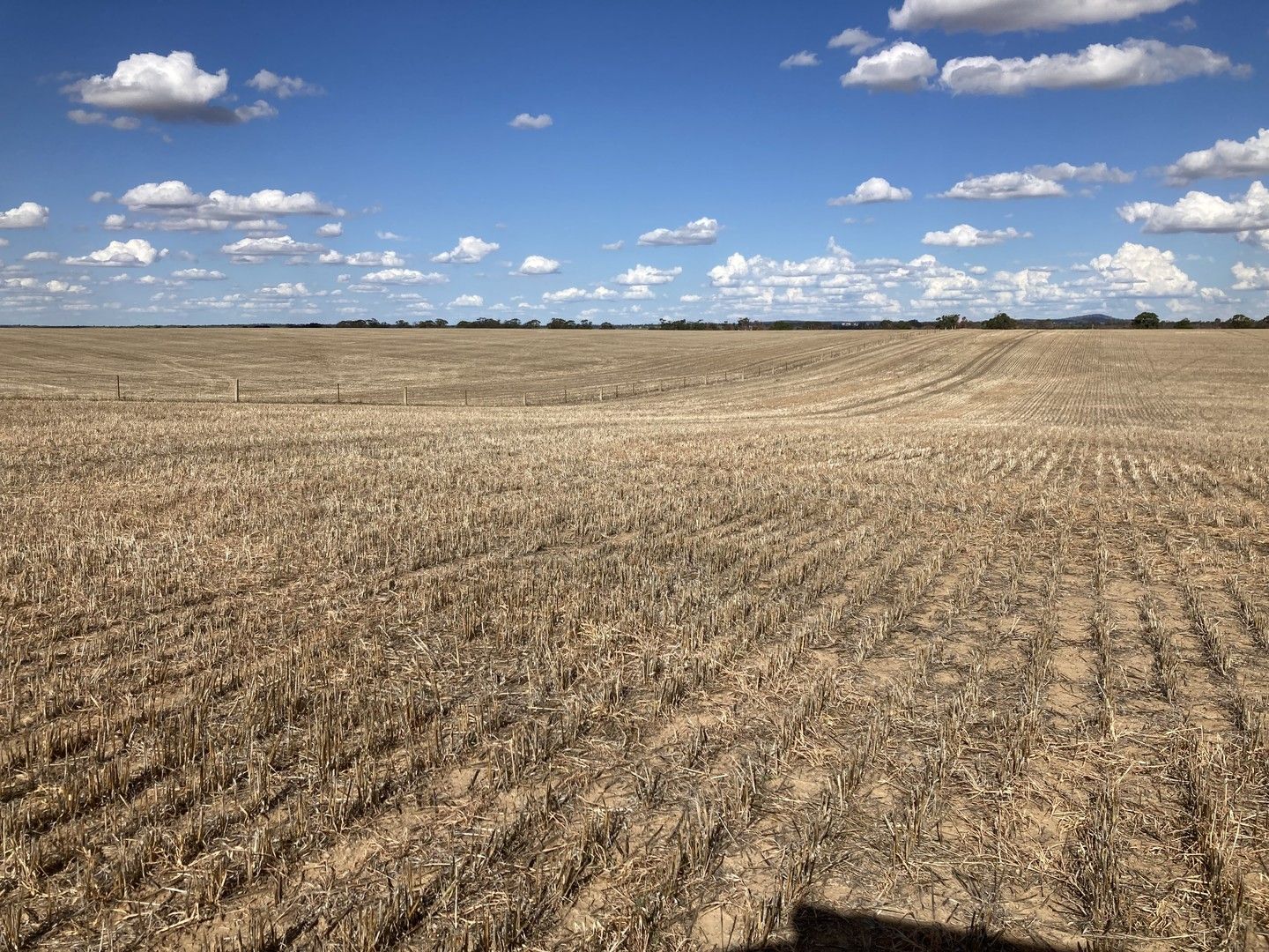 3206 Borung Highway, Donald VIC 3480 - House for Sale | Domain