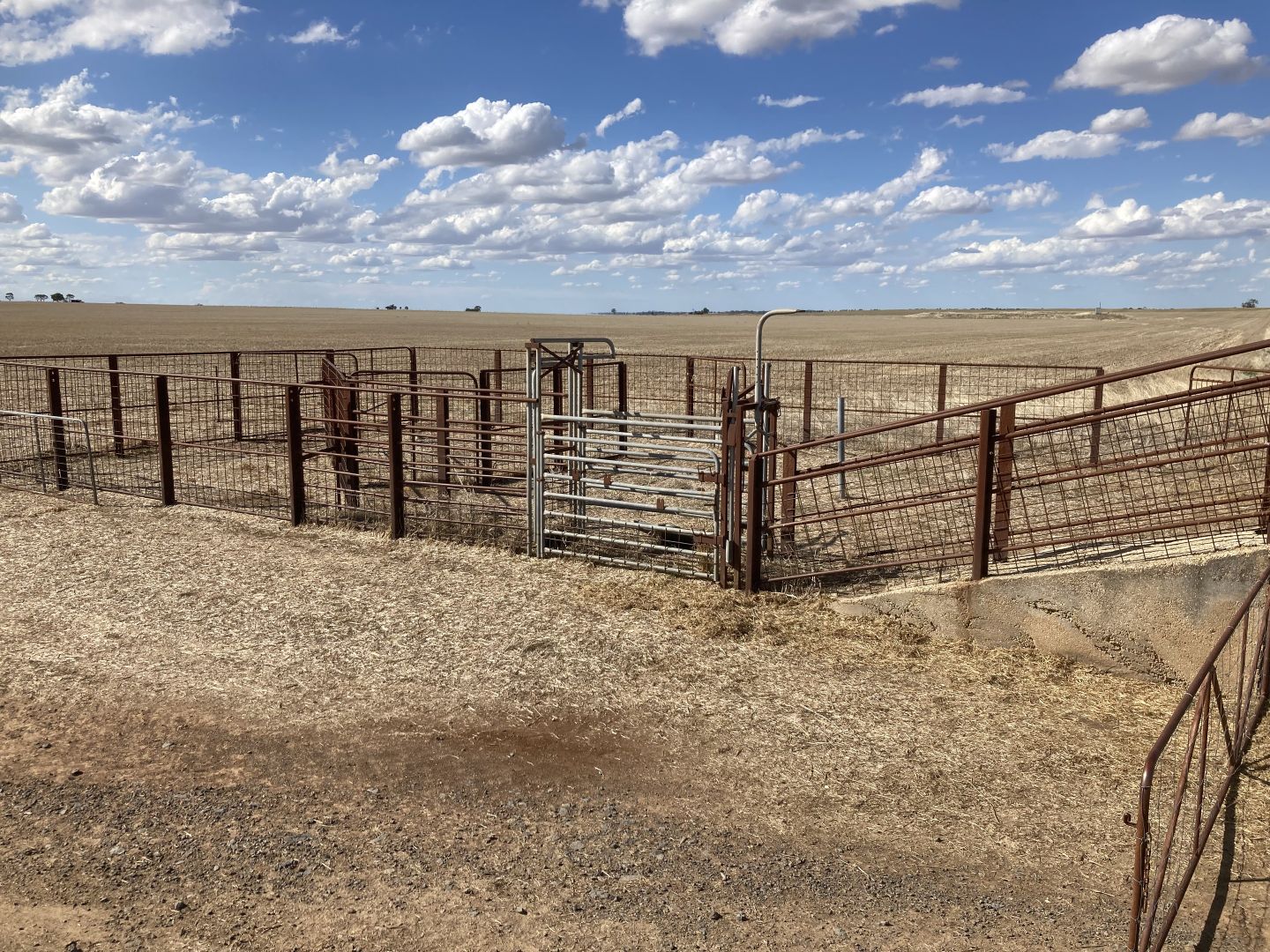 3206 Borung Highway, Donald VIC 3480 - House for Sale | Domain