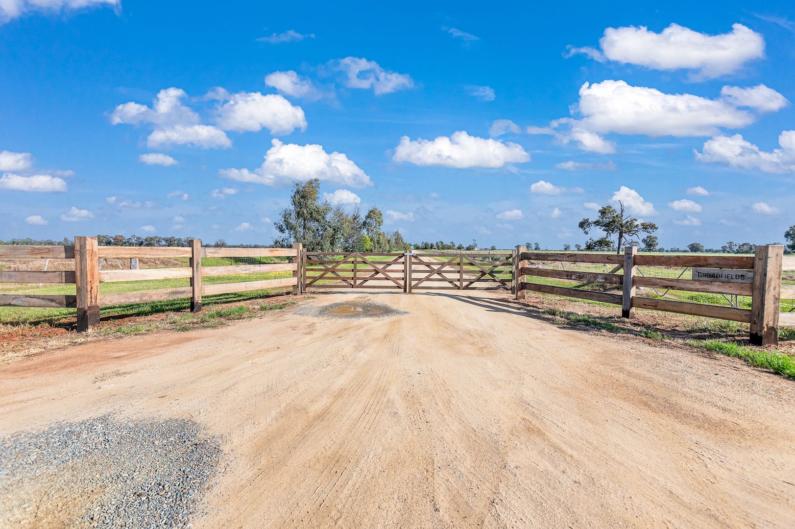 139 Willows Road, Finley NSW 2713 - Specialist Farm for Sale | Domain