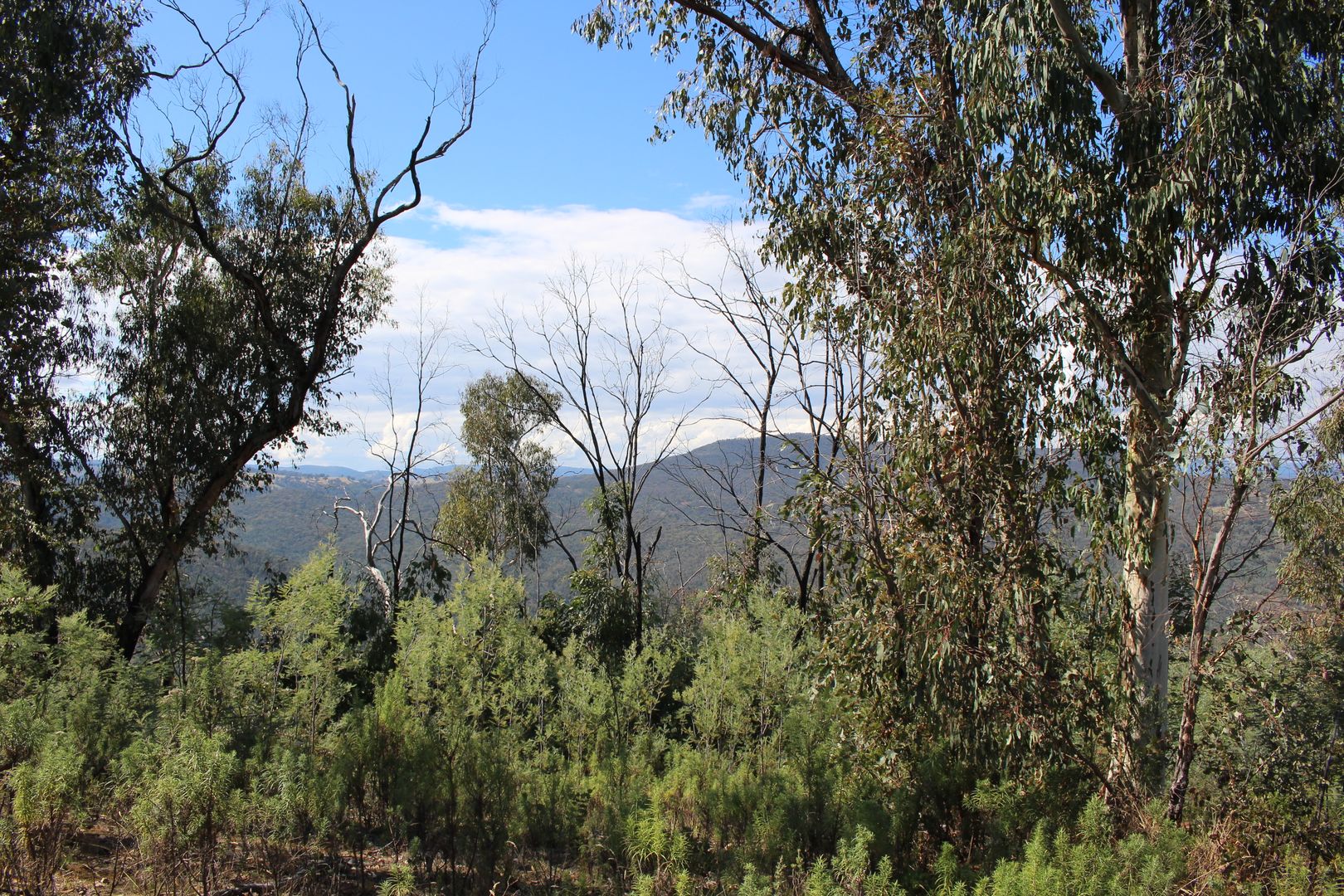 Lot 1-3 Tumbarumba Creek Road, Tooma NSW 2642 - House for Sale - $1,500,000