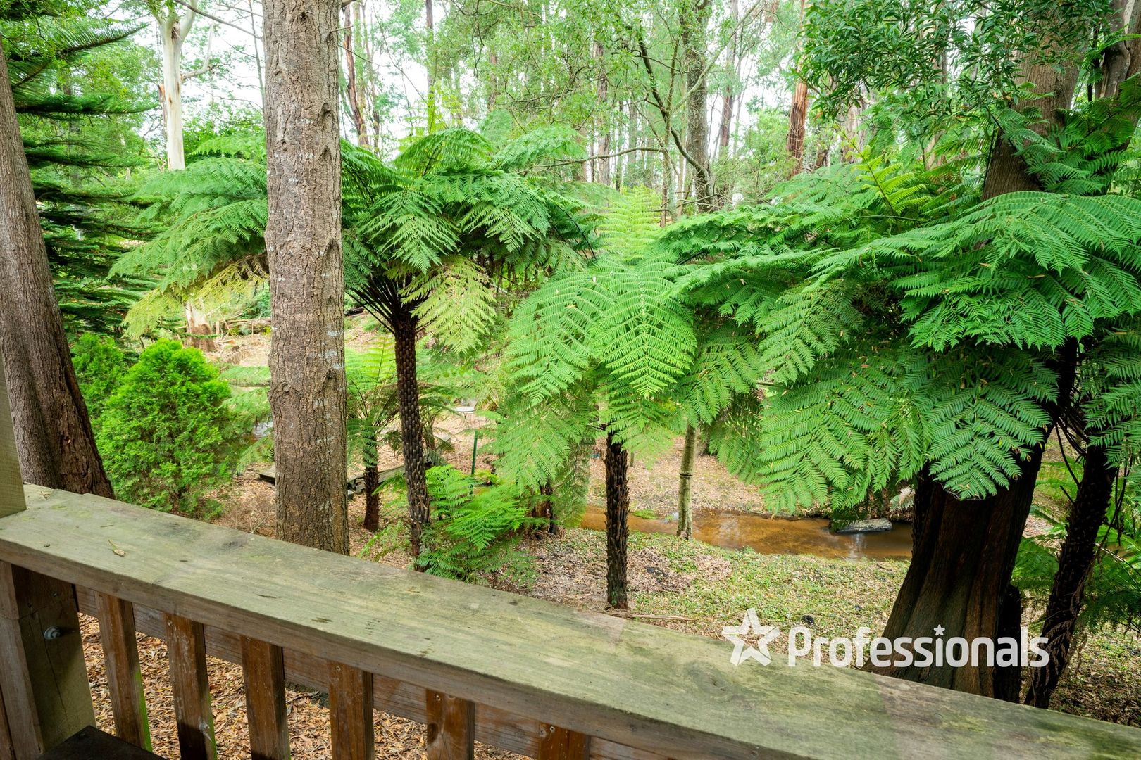 3 Hacketts Creek Road, Three Bridges VIC 3797 | Domain