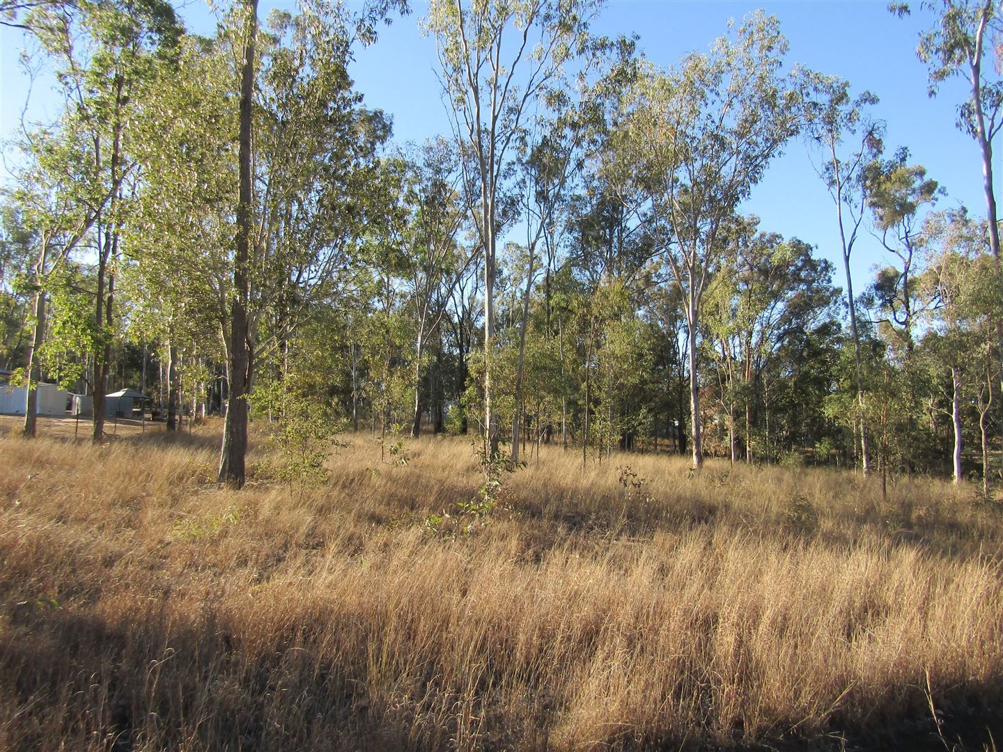 Sold 56 Walnut Drive, Brightview QLD 4311 on 10 Oct 2019 - 2014963322 ...