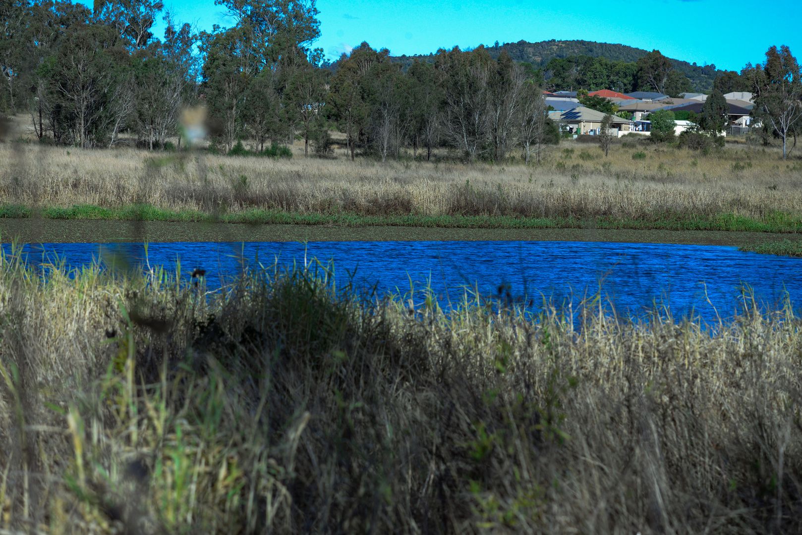 Lot 8/202 Clarendon Rd, Lowood QLD 4311 | Domain