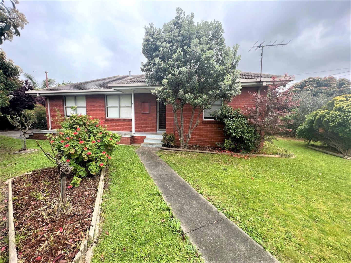 1 Hopkins Street, Corio VIC 3214 - House For Rent | Domain