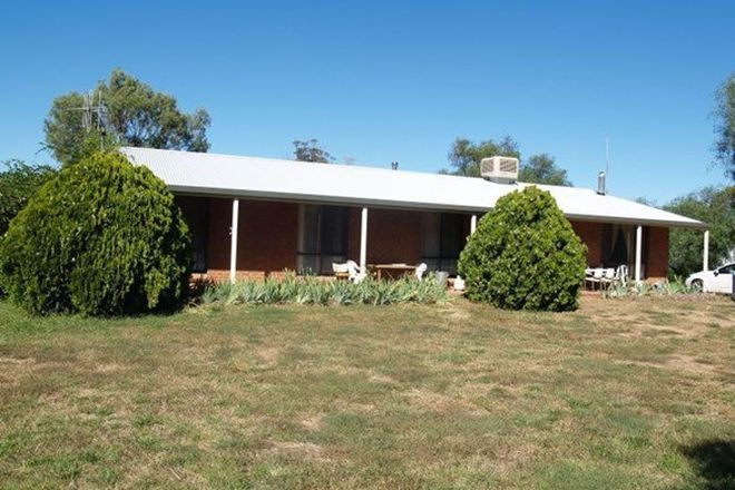 5, 4 Bedroom Free Standing Houses for Sale in Wunghnu, VIC, 3635 | Domain