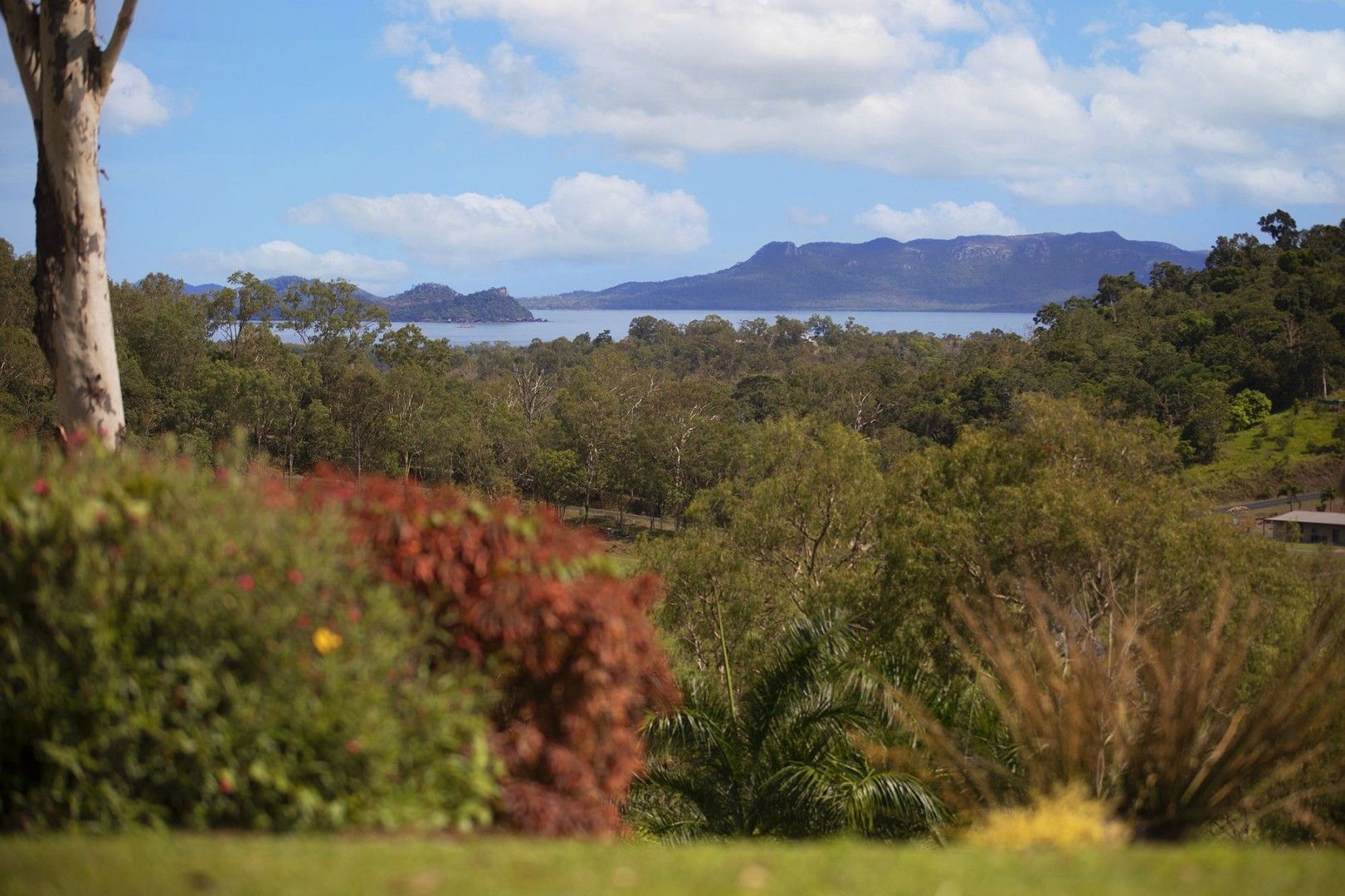 53 Olletts Road, Habana QLD 4740 - Vacant Land for Sale | Domain