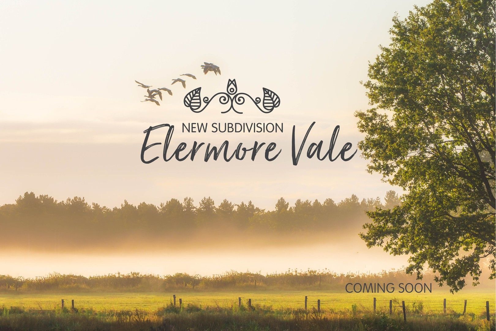 Elermore Vale NSW 2287 vacant land for Sale, Price Guide on Request ...