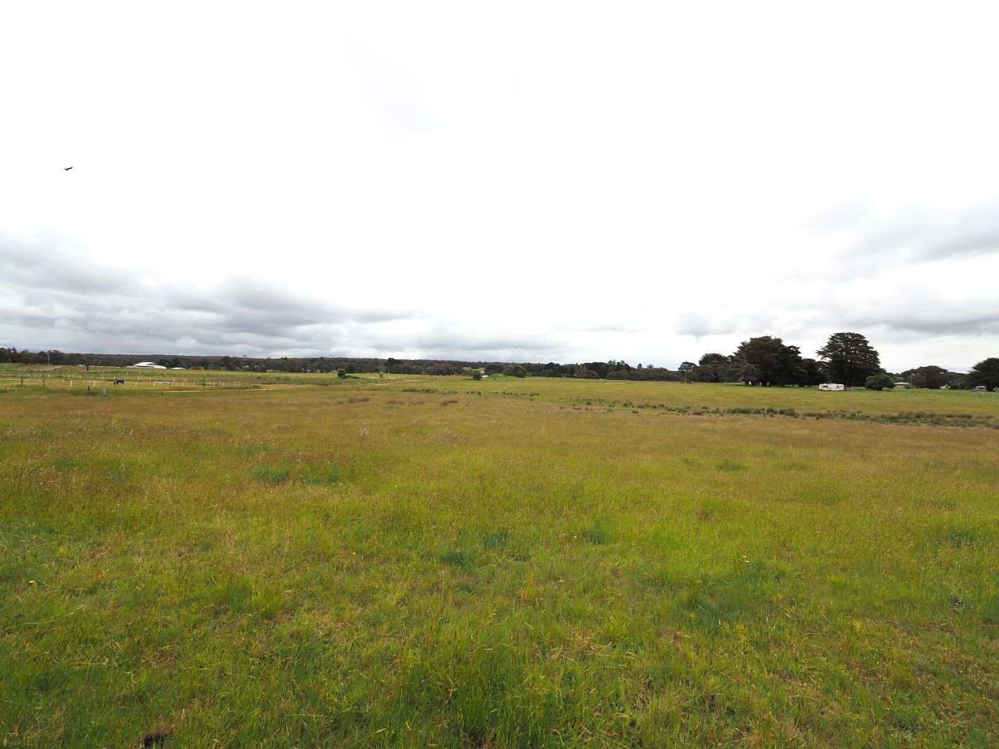 CP161299 Brumbys Lane, Snake Valley VIC 3351 | Domain