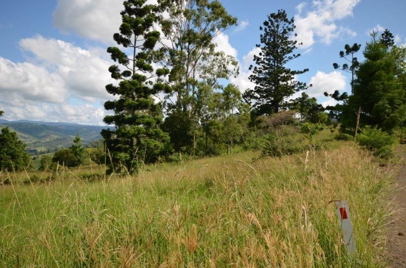 Sold 10 DARLINGTON RANGE ROAD, WITHEREN QLD 4275 on 10 Aug 2021 ...