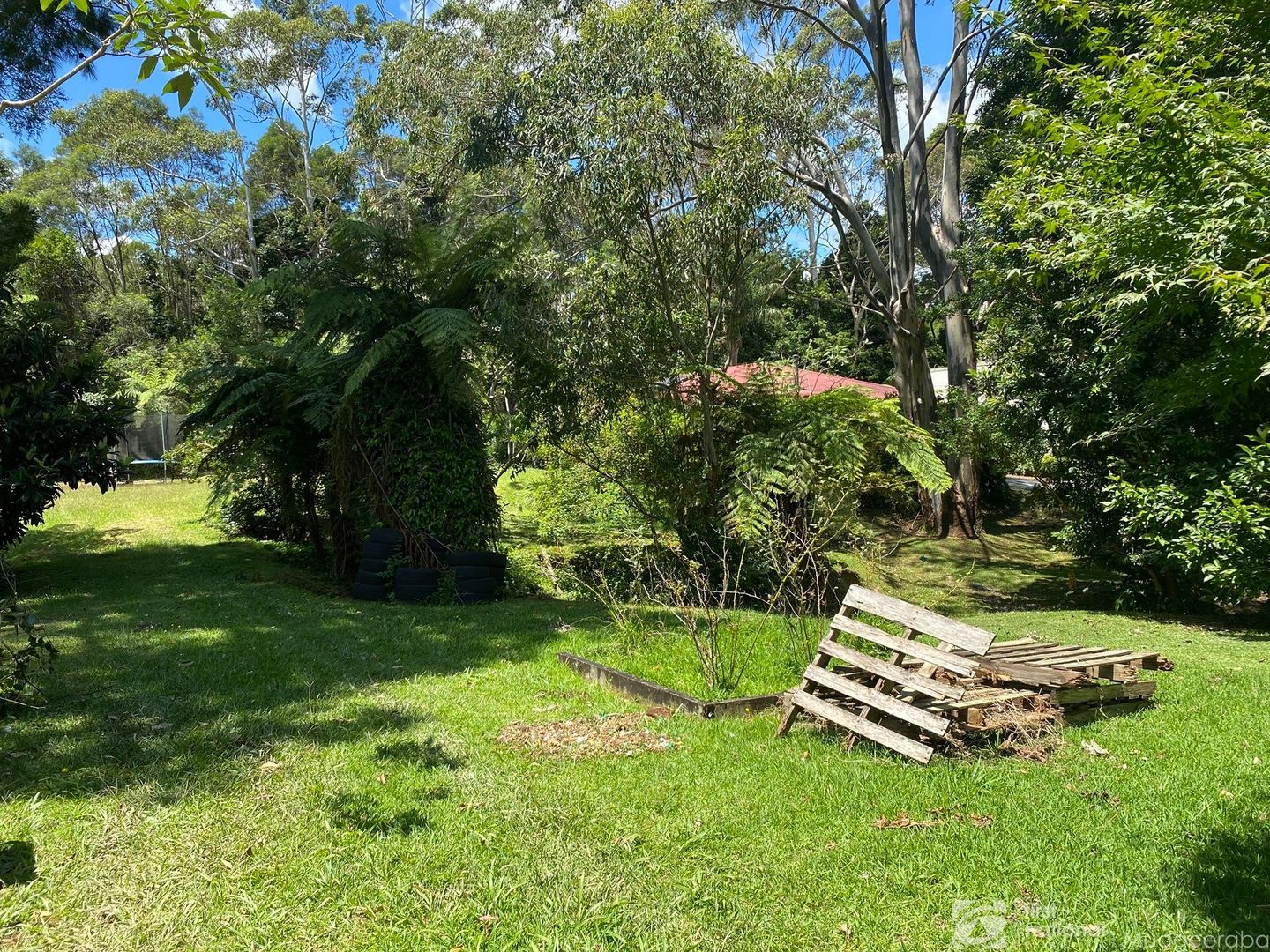 2281 Springbrook Road, Springbrook QLD 4213 | Domain